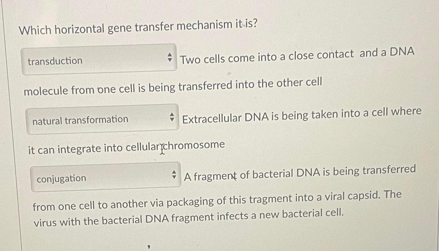Solved Which horizontal gene transfer mechanism it is? Two | Chegg.com
