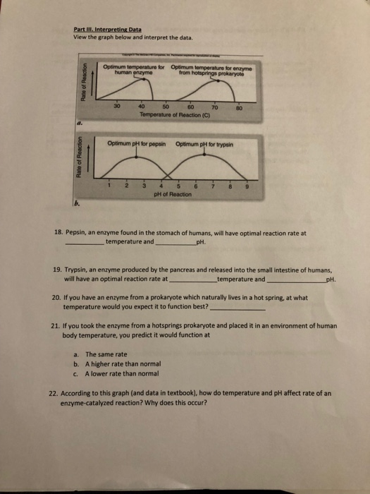 Solved Part IlI. Interpreting Data View the graph below and | Chegg.com