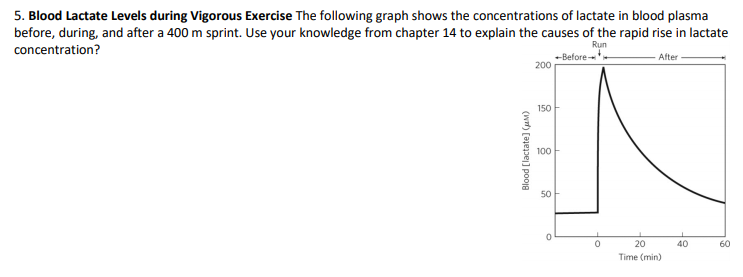 Solved 5. Blood Lactate Levels during Vigorous Exercise The | Chegg.com