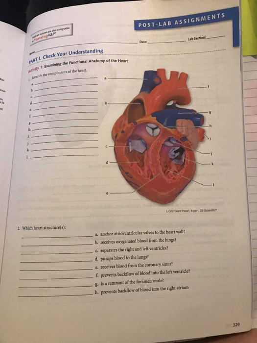 Solved ST-LAB ASSIGNMENTS Lab Section 1. Check Your | Chegg.com