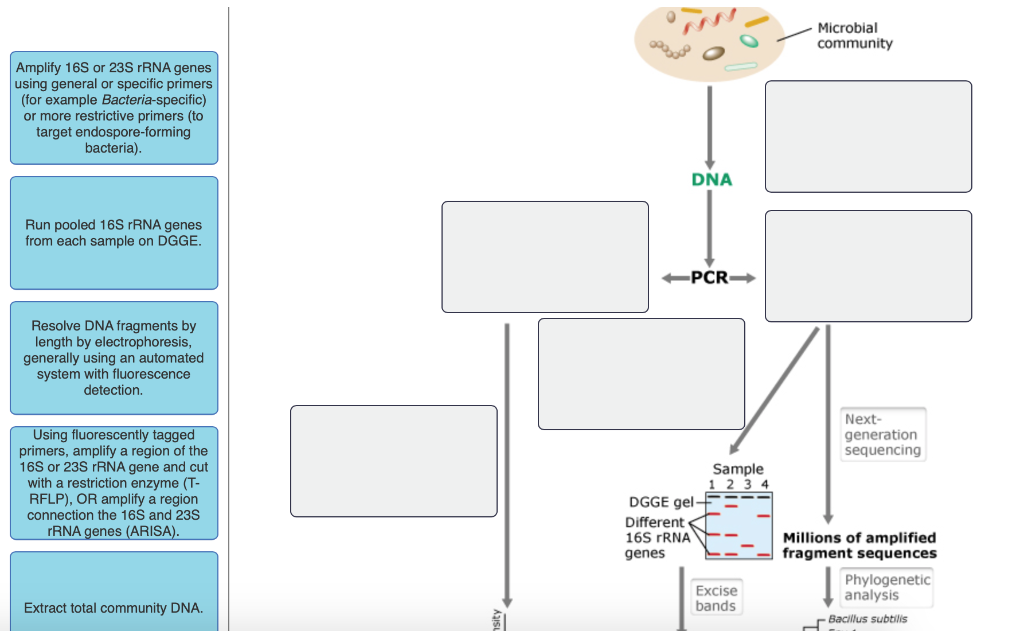 Solved Correctly identify possible molecular methodology | Chegg.com
