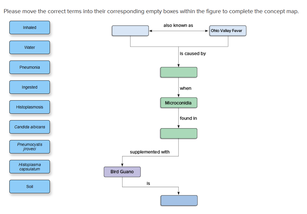 Solved Please move the correct terms into their | Chegg.com
