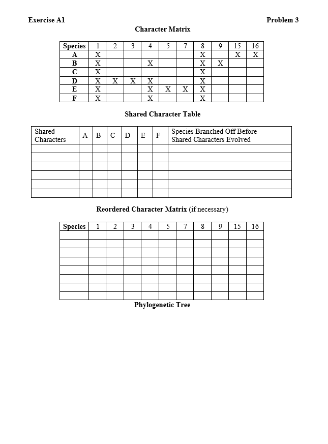 Solved Exercise Al Problem 3 Character Matrix 2 3 4 5 7 9 15 | Chegg.com