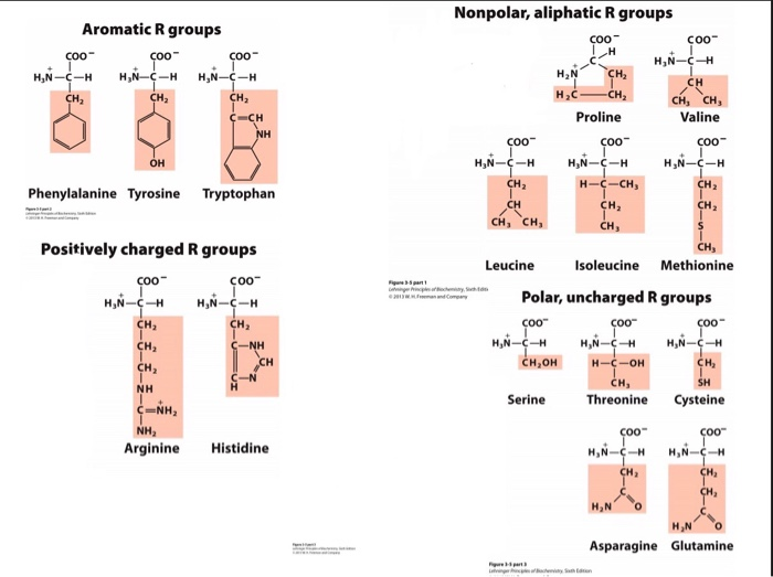 Isoleucine R Group