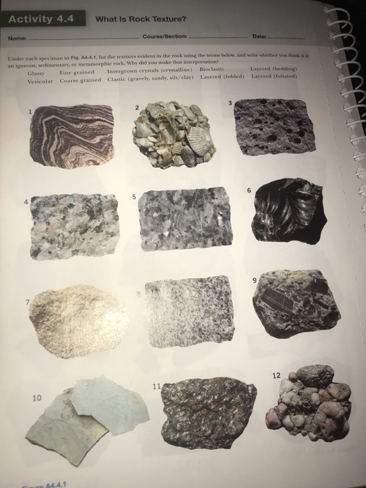 Solved Activity 4.4 What Is Rock Texture? Name: Date | Chegg.com