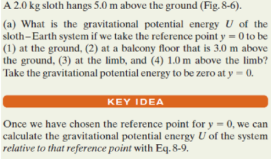 Solved A 2.0 kg sloth hangs 5.0 m above the ground (Fig. | Chegg.com