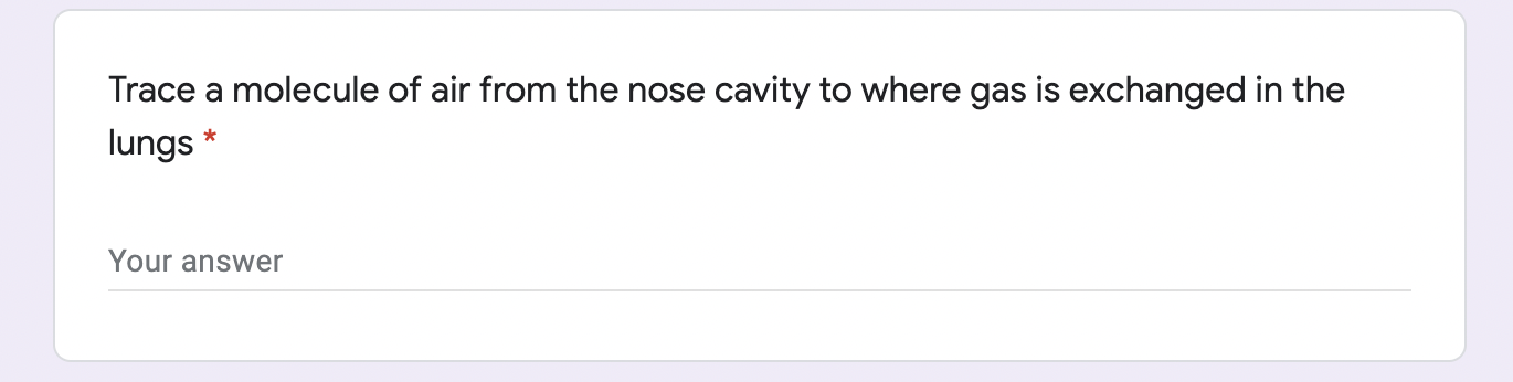 Solved What would be an example of 4th hand smoke? * Your | Chegg.com
