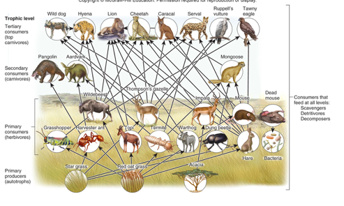 Solved Ecosystems include both biotic (living) and abiotic | Chegg.com