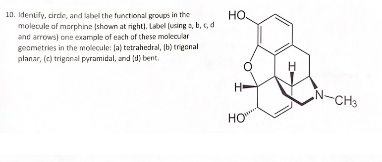 Solved 10. Identify, circle, and label the functional groups | Chegg.com