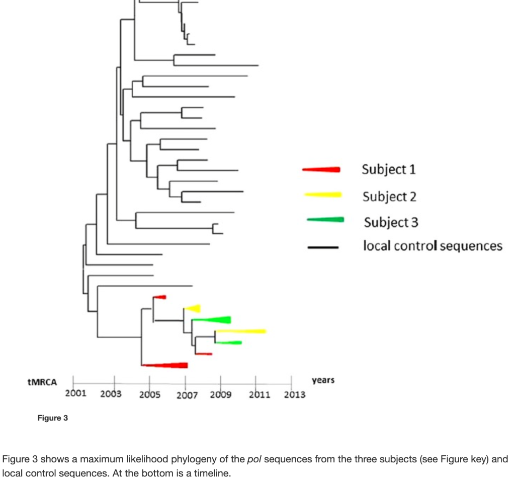 Solved Phylogenetic analysis is not just useful for | Chegg.com