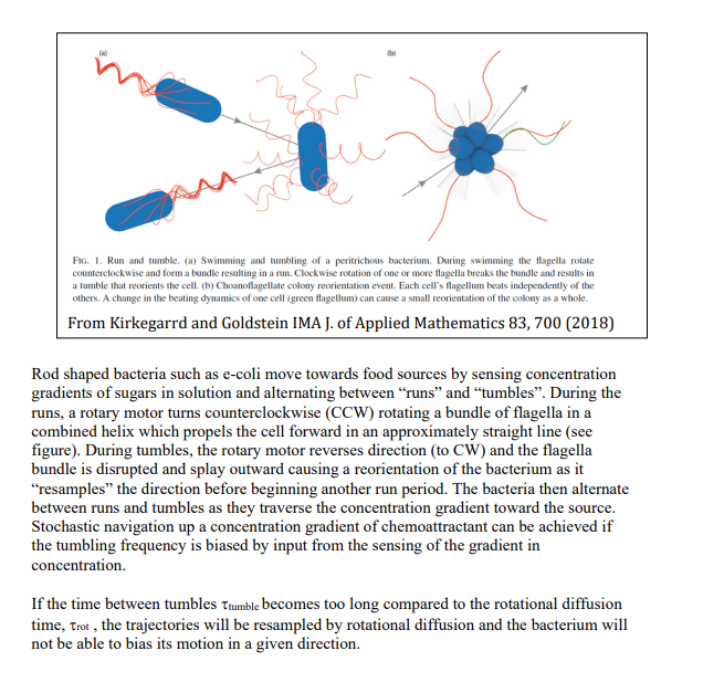 Fig. 1. Run and tumble. (a) Swimming and tumbling of | Chegg.com
