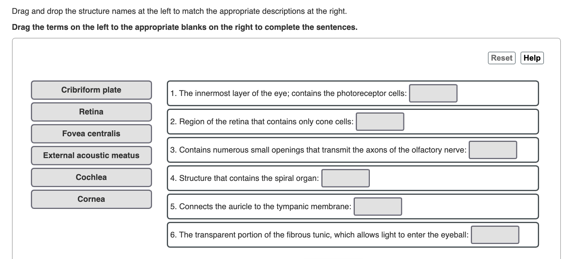 Solved Drag and drop the structure names at the left to | Chegg.com