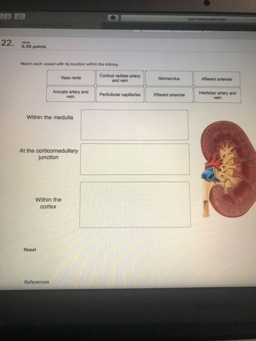 Solved 22. 0.20 points Match each vessel with its location | Chegg.com