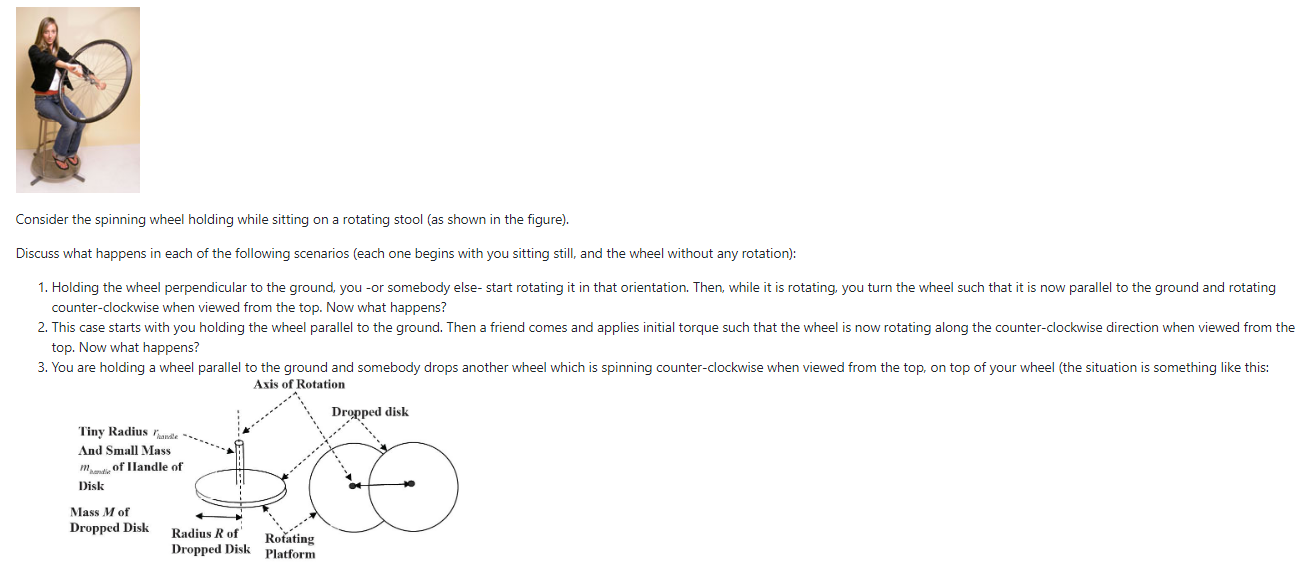 Solved Consider the spinning wheel holding while sitting on | Chegg.com