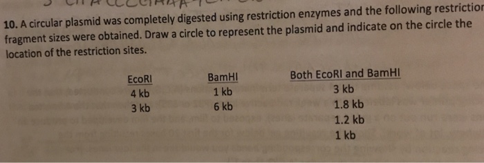 Solved 10. A circular plasmid was completely digested using | Chegg.com