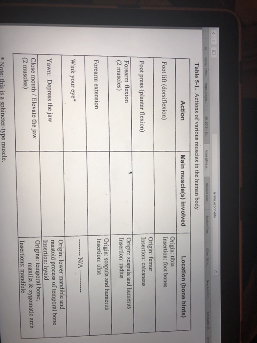 Solved Table 5-1. Actions of various muscles in the human | Chegg.com