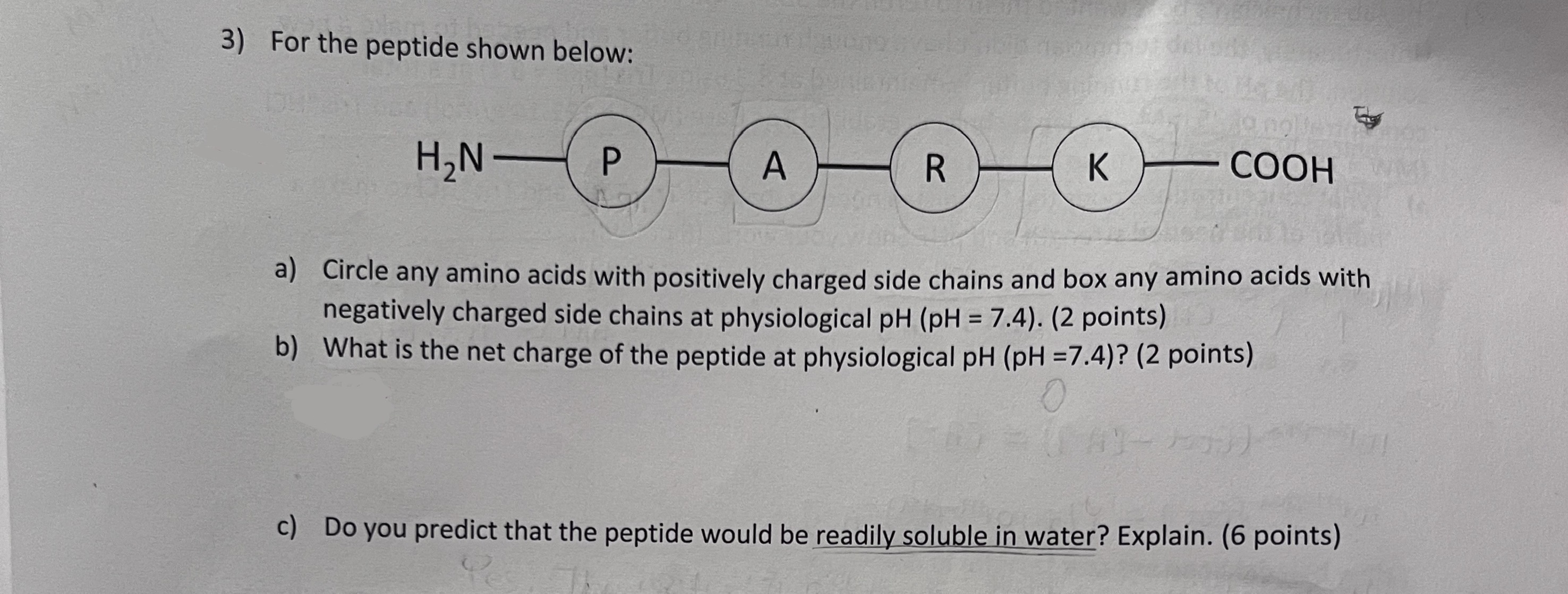 Solved 3) For the peptide shown below: a) Circle any amino | Chegg.com