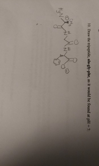 Solved 10. Draw the tripeptide, ala-gly-phe, as it would be | Chegg.com