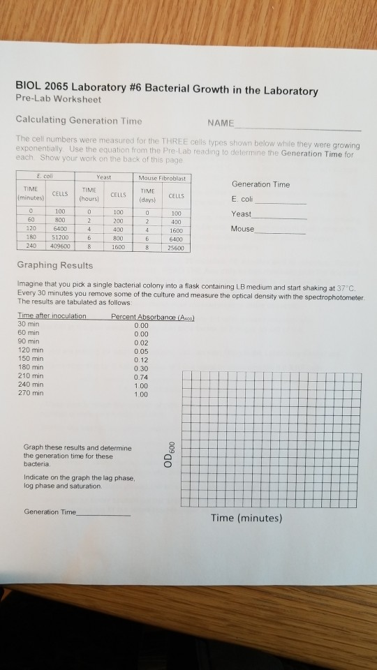 Solved BIOL 2065 Laboratory #6 Bacterial Growth in the | Chegg.com