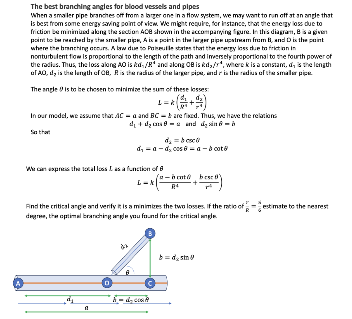 Solved The best branching angles for blood vessels and pipes | Chegg.com