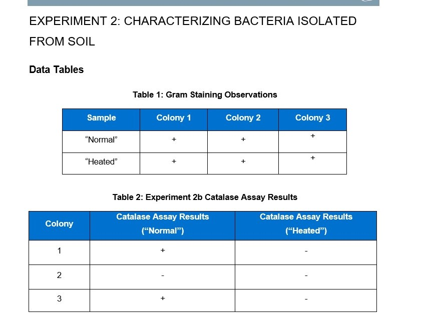Solved EXPERIMENT 2: CHARACTERIZING BACTERIA ISOLATED FROM | Chegg.com