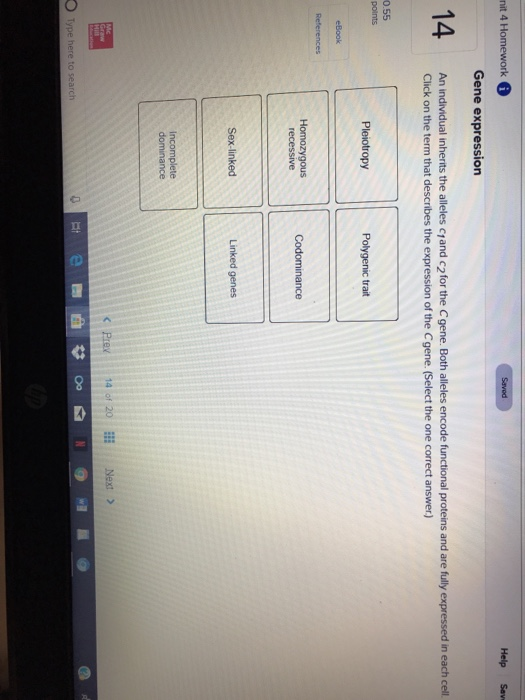 Solved Nit 4 Homework Help Sav Gene Expression An Individual 