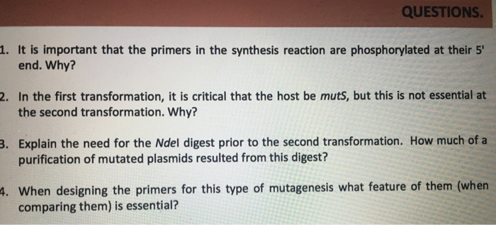 Solved It is important that the primers critical synthesis | Chegg.com