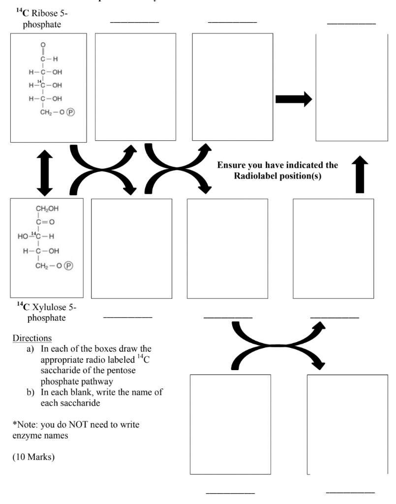 Solved This is ONE question. PLEASE DO NOT COPY FROM ANOTHER | Chegg.com