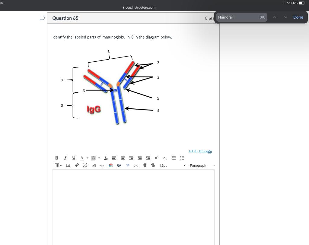 Solved 10 56% ccp.instructure.com D Question 65 8 pts | Chegg.com