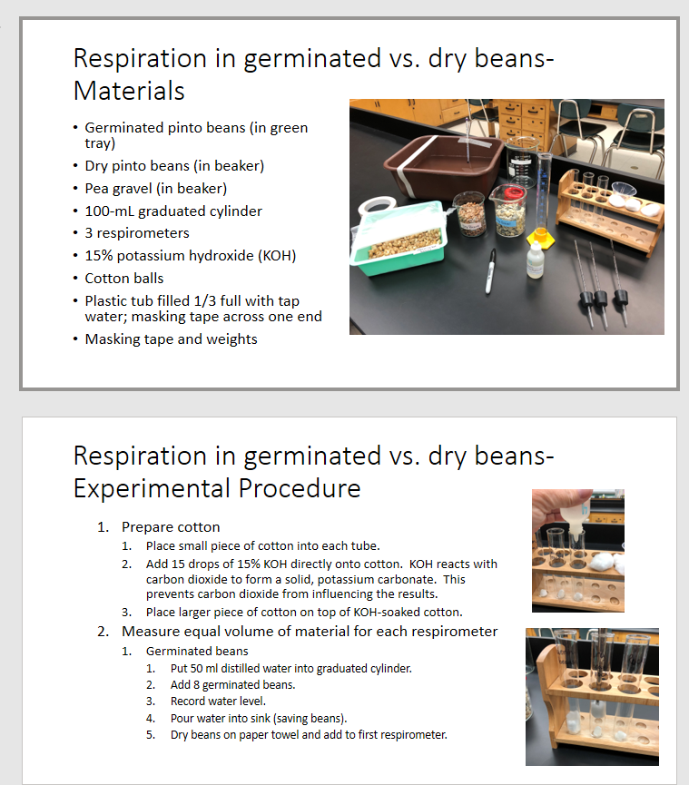Solved Experiment 1 Fermentation of sugars by yeast 1 2 3 1. | Chegg.com