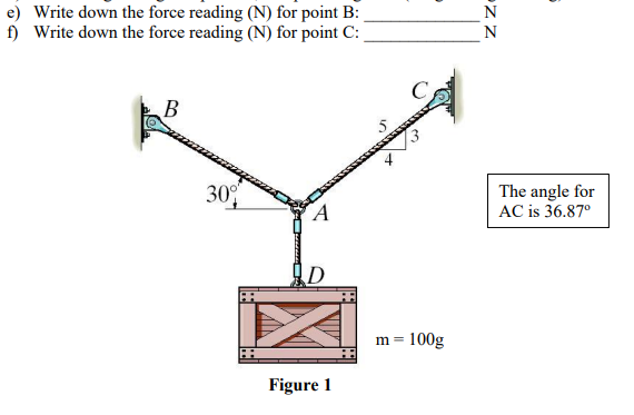 Solved e) Write down the force reading (N) for point B : N | Chegg.com