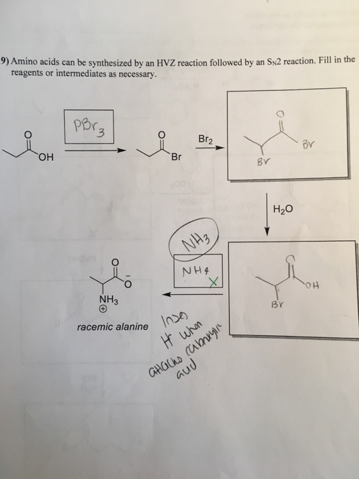 Solved 9) Amino acids can be synthesized by an HVZ reaction | Chegg.com