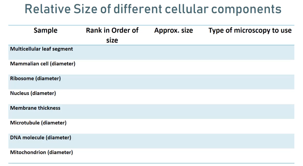 Solved Relative Size of different cellular components | Chegg.com