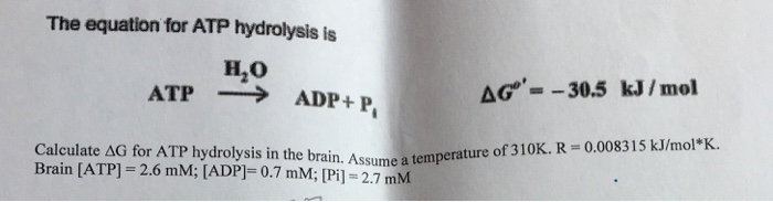 Solved The equation for ATP hydrolysis is ATP rightarrow | Chegg.com