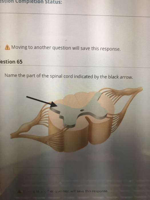 Solved estion Completion Status: Moving to another question | Chegg.com Solved estion Completion Status: Moving to another question | Chegg.com