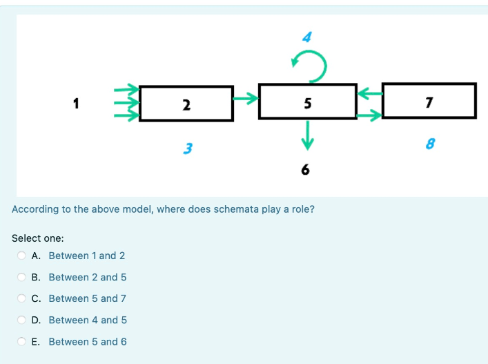 Solved 1 2 5 7 3 8 6 According to the above model, where | Chegg.com