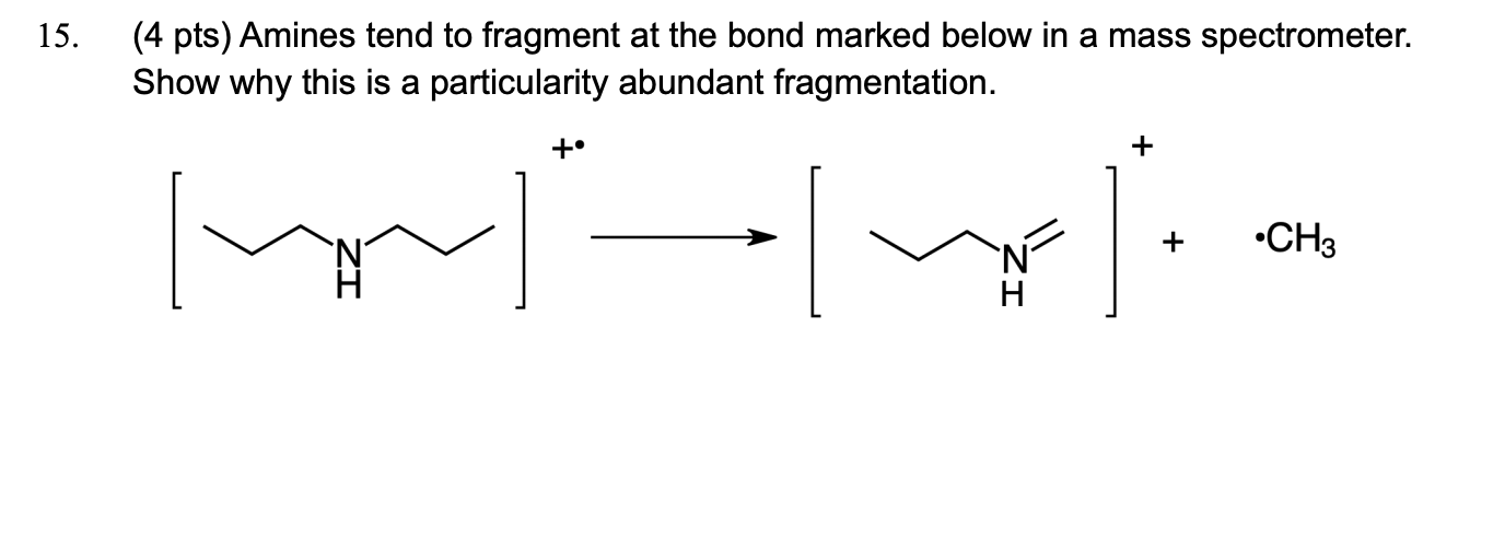 Solved 15. (4 pts) Amines tend to fragment at the bond | Chegg.com