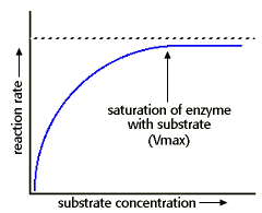 Solved What is Vmax? Explain. How would the Vmax change if | Chegg.com
