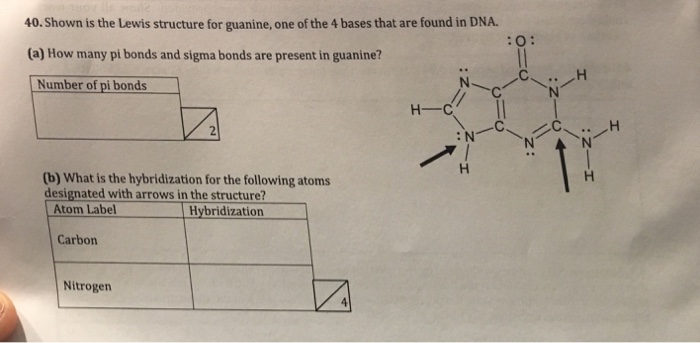 Solved Shown is the Lewis structure for guanine, one of the | Chegg.com
