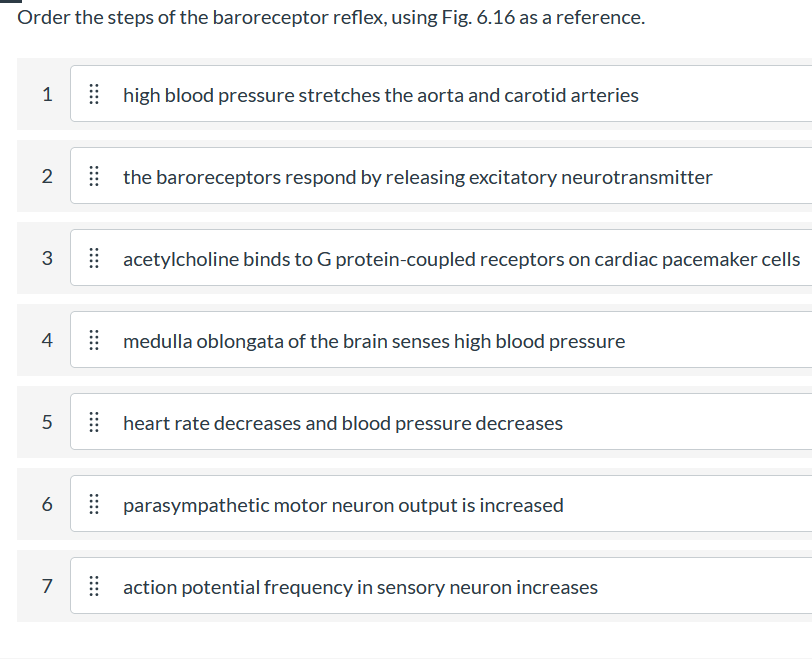 Solved Order the steps of the baroreceptor reflex, using | Chegg.com
