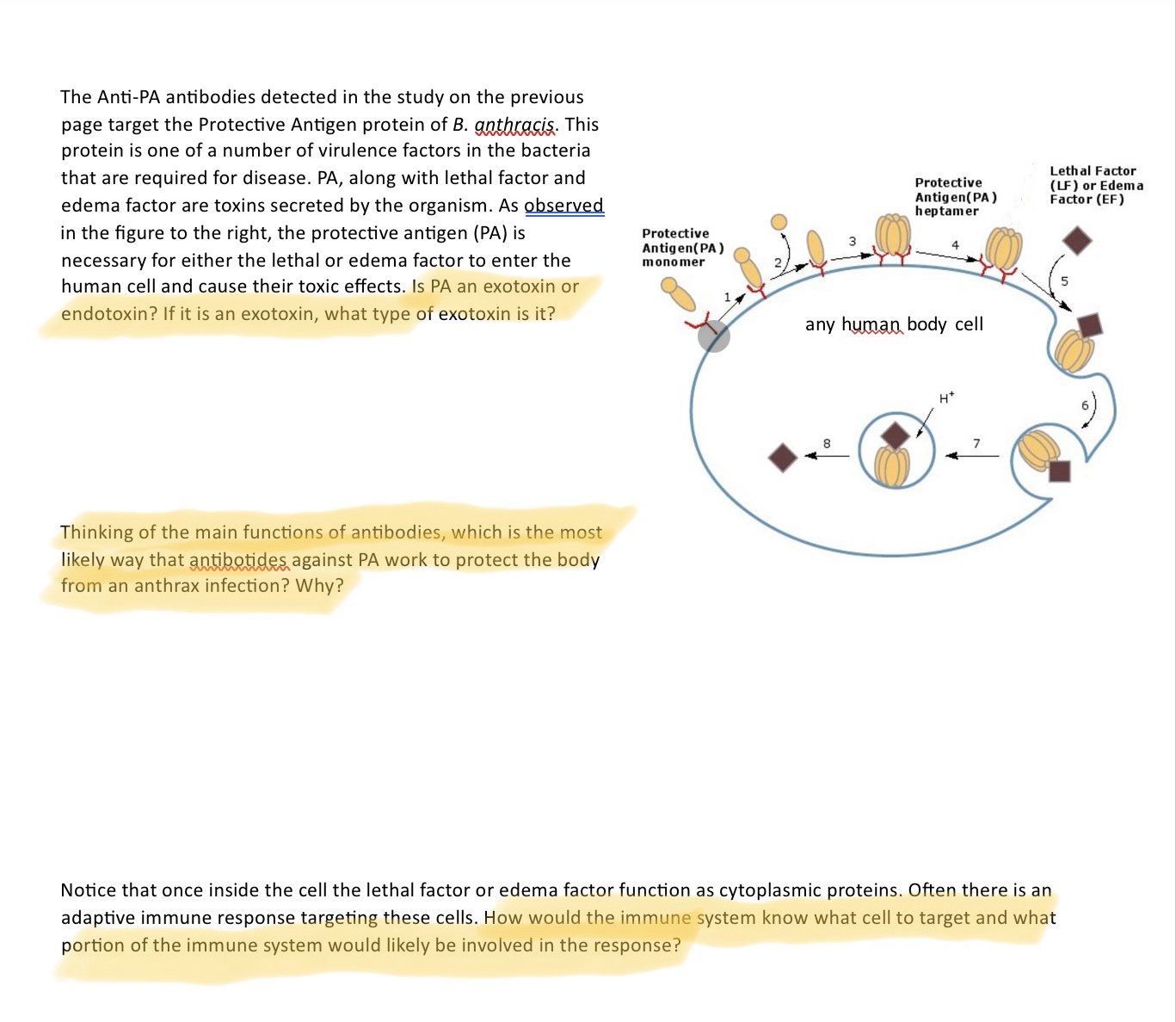 [Solved]: The Anti-PA antibodies detected in the study on t