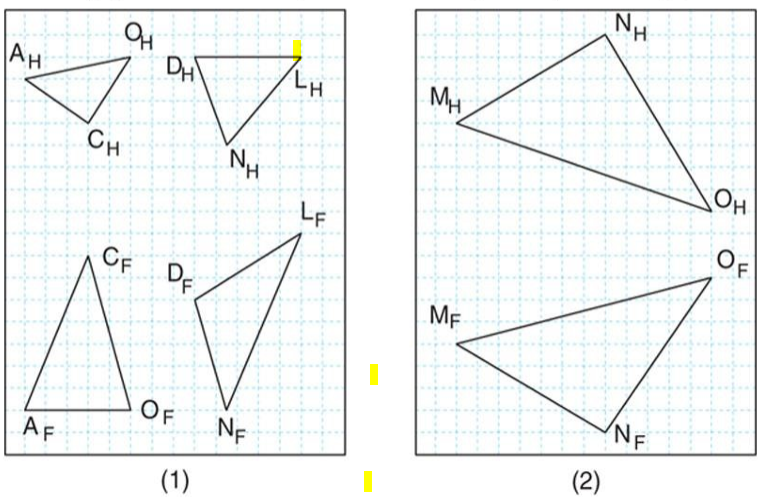 Solved Please: 1) ﻿Draw the Edge view of planes AOC and | Chegg.com
