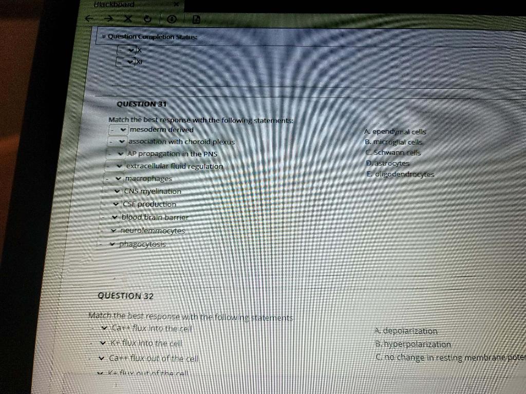 Solved Blackboard Question Completion Status QUESTION 31 A. | Chegg.com