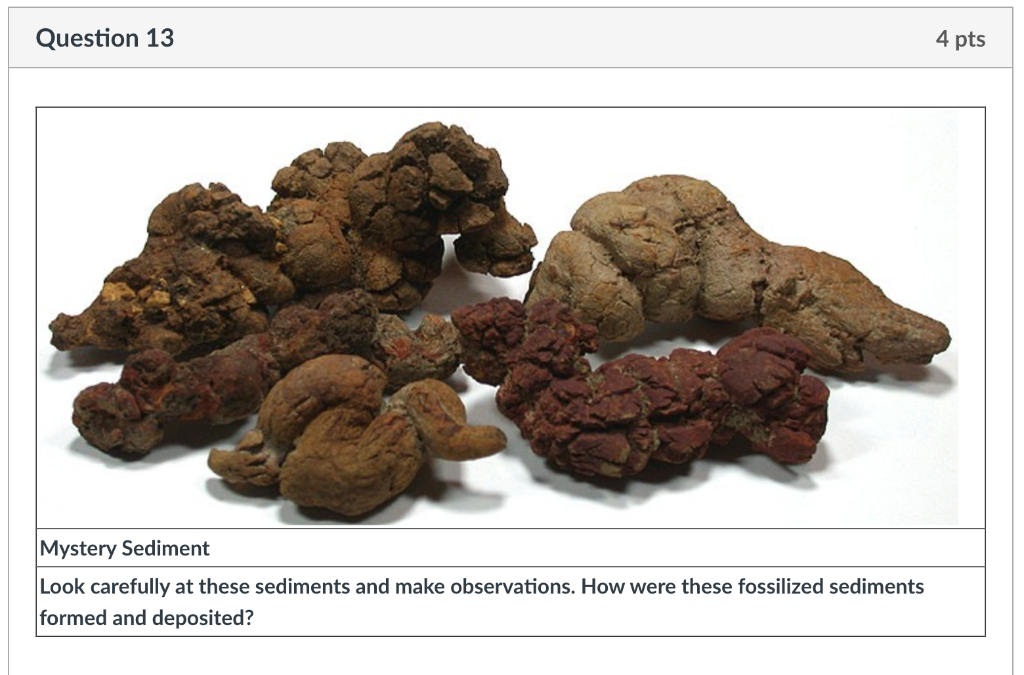 Solved Look carefully at these sediments and make | Chegg.com