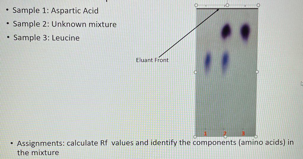 Solved Sample 1: Aspartic Acid . Sample 2: Unknown mixture | Chegg.com