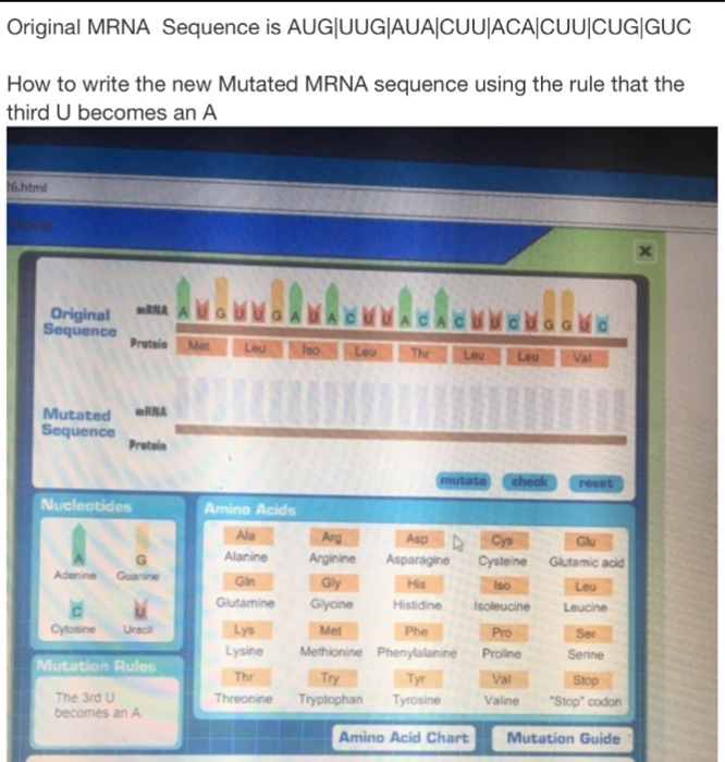 Solved mRNA Original sequence to MRNa mutated sequence with | Chegg.com