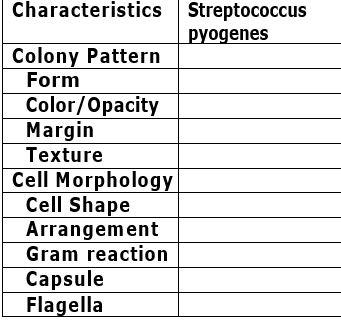 Solved Characteristics Streptococcus pyogenes Colony Pattern | Chegg.com