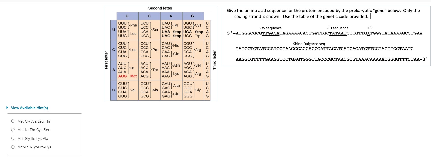 Solved give the amino acid sequence for the protein encoded | Chegg.com