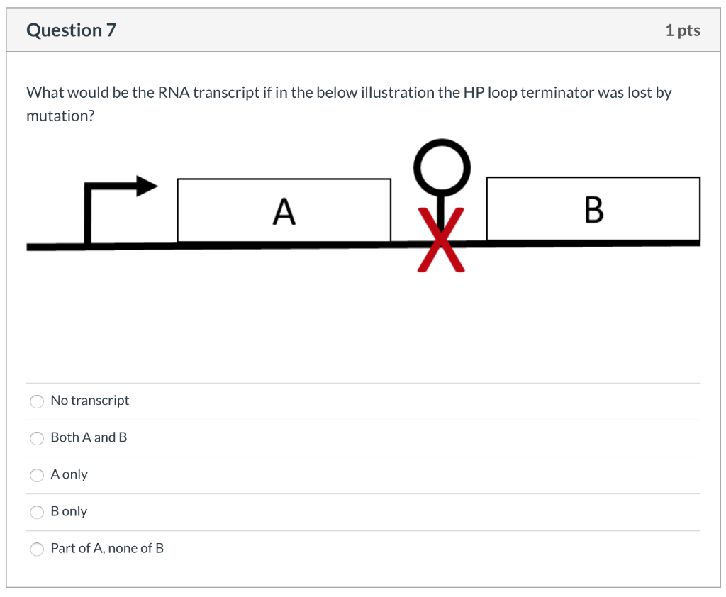 Solved Question 7 1 pts What would be the RNA transcript if | Chegg.com