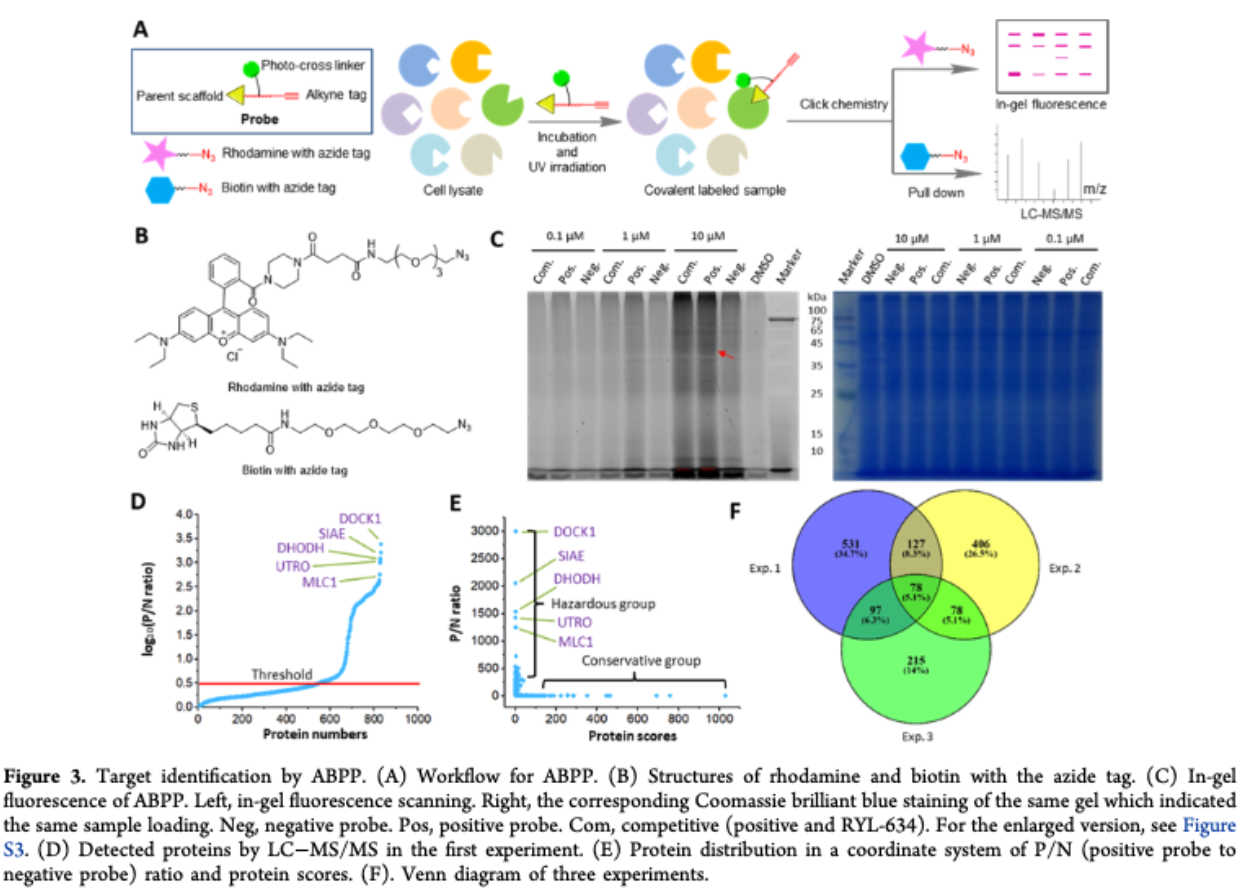 Describe the ABPP assay used to isolate potential | Chegg.com